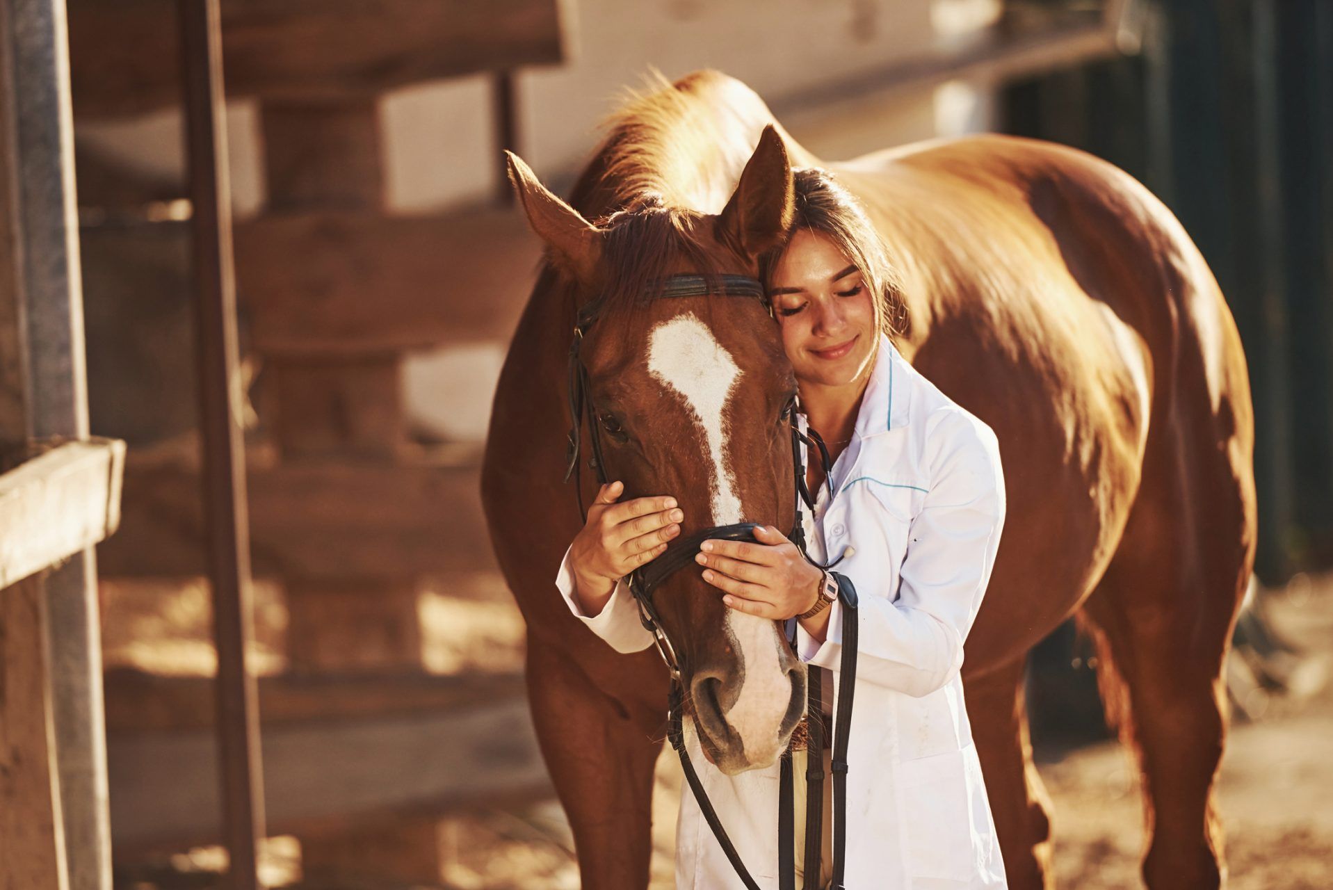 ¿Qué tengo que hacer para estudiar veterinaria? - Blog Emagister